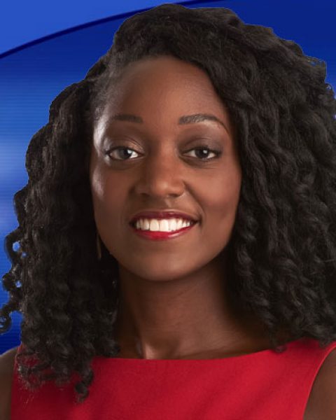 Meet Broadcast News Reporters from NWT Group